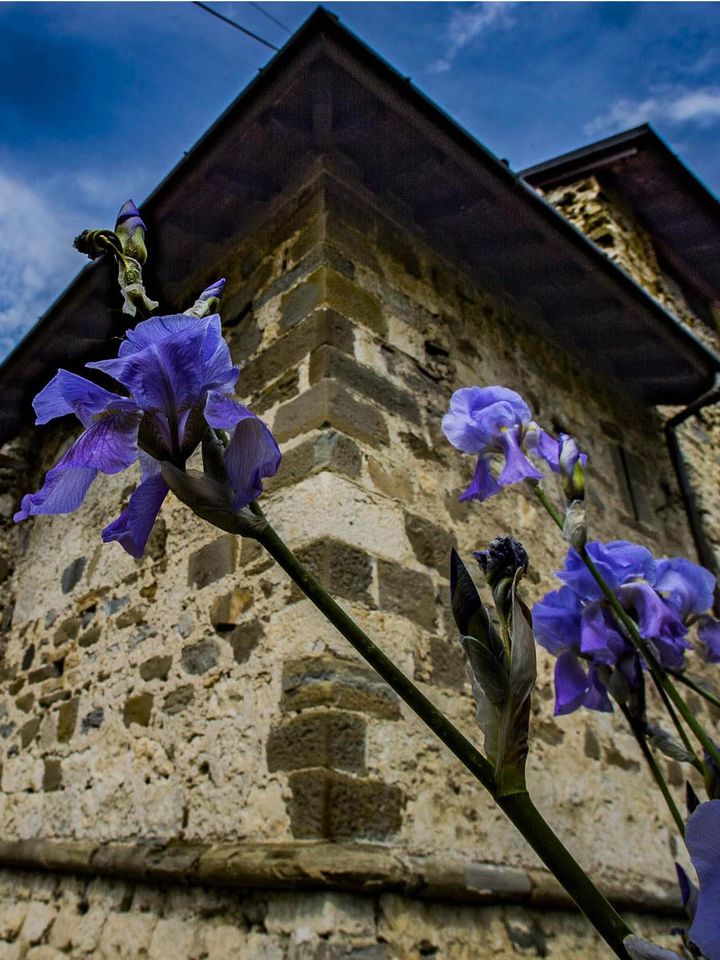 Storia - Comune di Solza